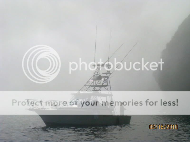 34' Atlantic Express | Bloodydecks