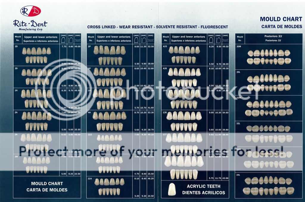 Denture Teeth Mold Guide - Guides Online
