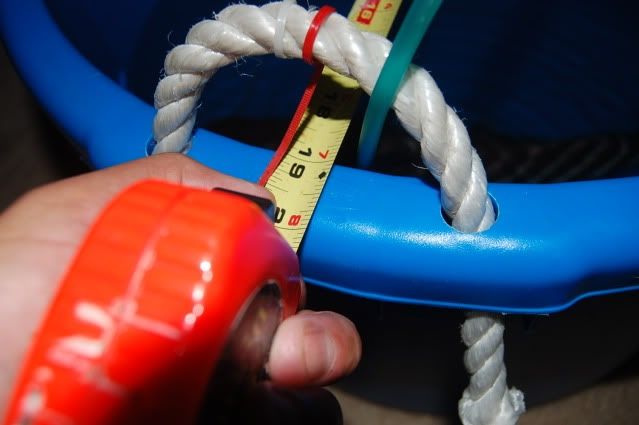 FS: Pacman Catfish (L. Alexandri)/ H. Armatus LA/TX Shipping ...